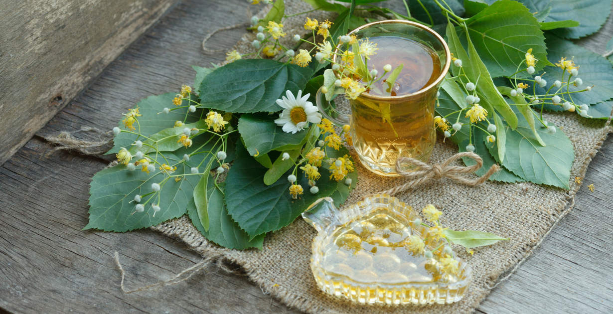 Thé au tilleul : avantages, utilisations, effets secondaires et comment ...