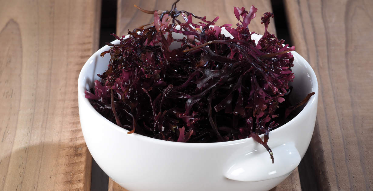 Avantages, mode d'emploi et effets secondaires de la mousse de mer