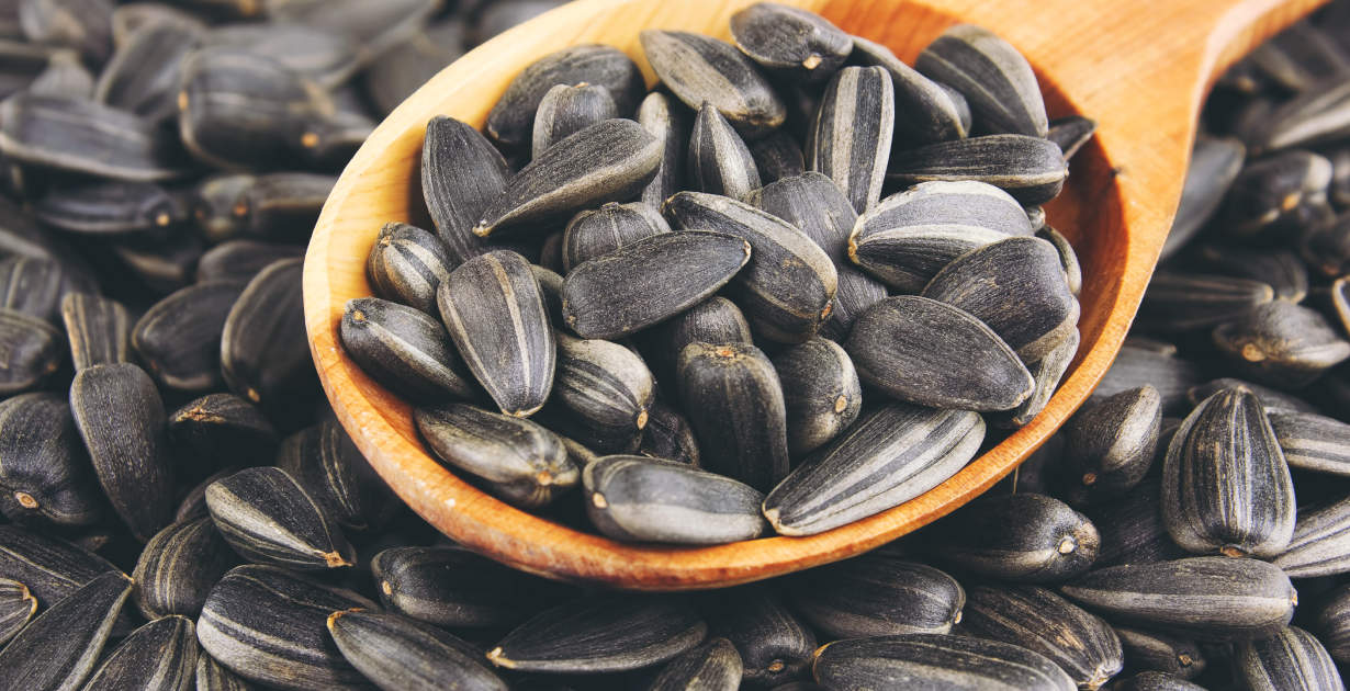 Graines de tournesol : Bienfaits, nutrition et recettes